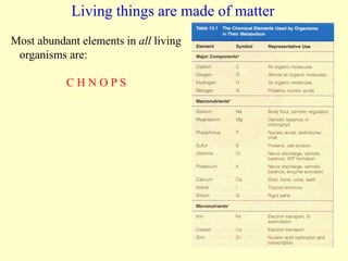 Detritus Bacteria biodegradation.ppt