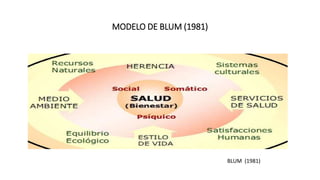 Detrminantes de la salud UNIVIM. | PPTX