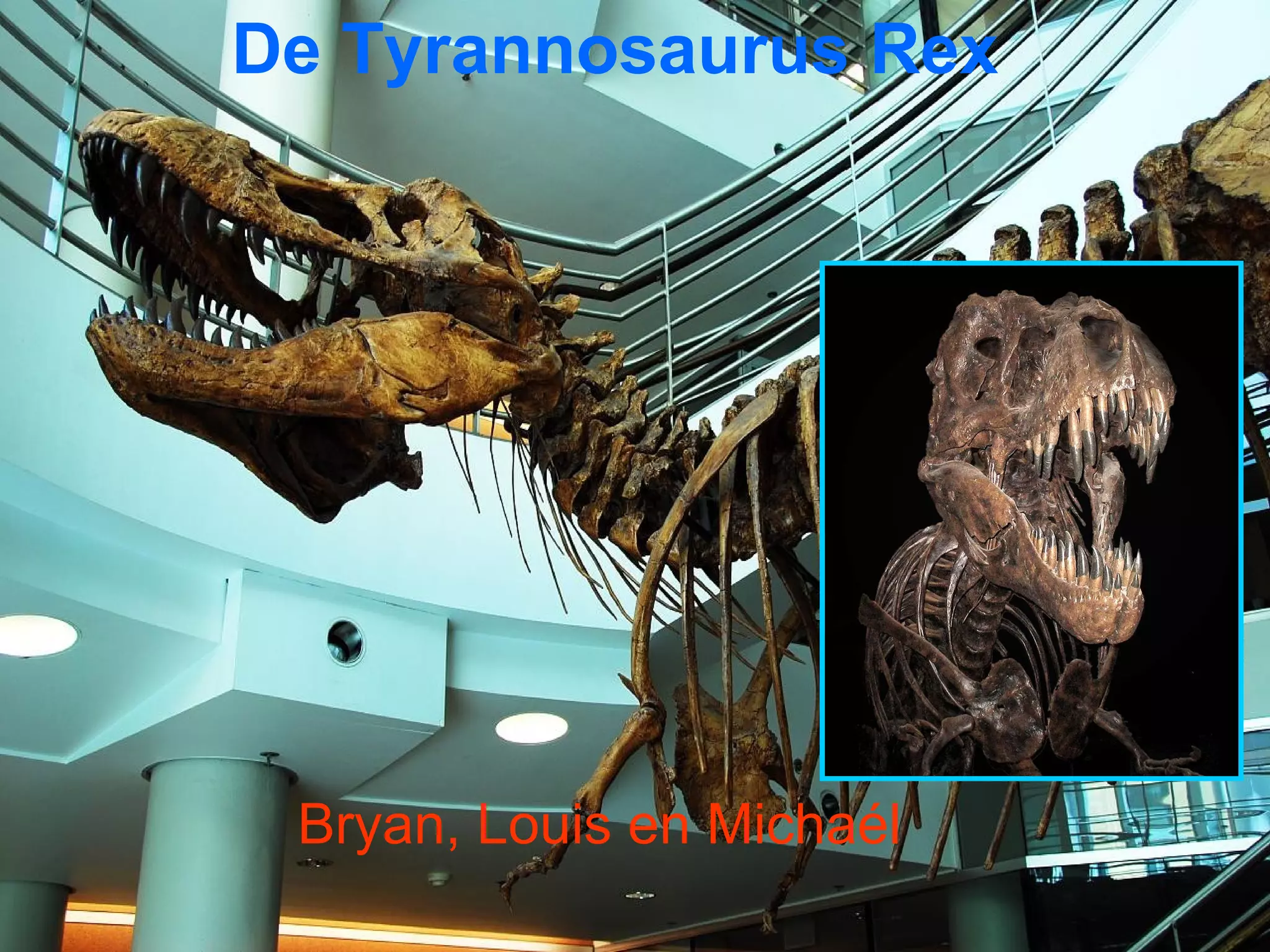 De Tyrannosaurus Rex 01 | PPT