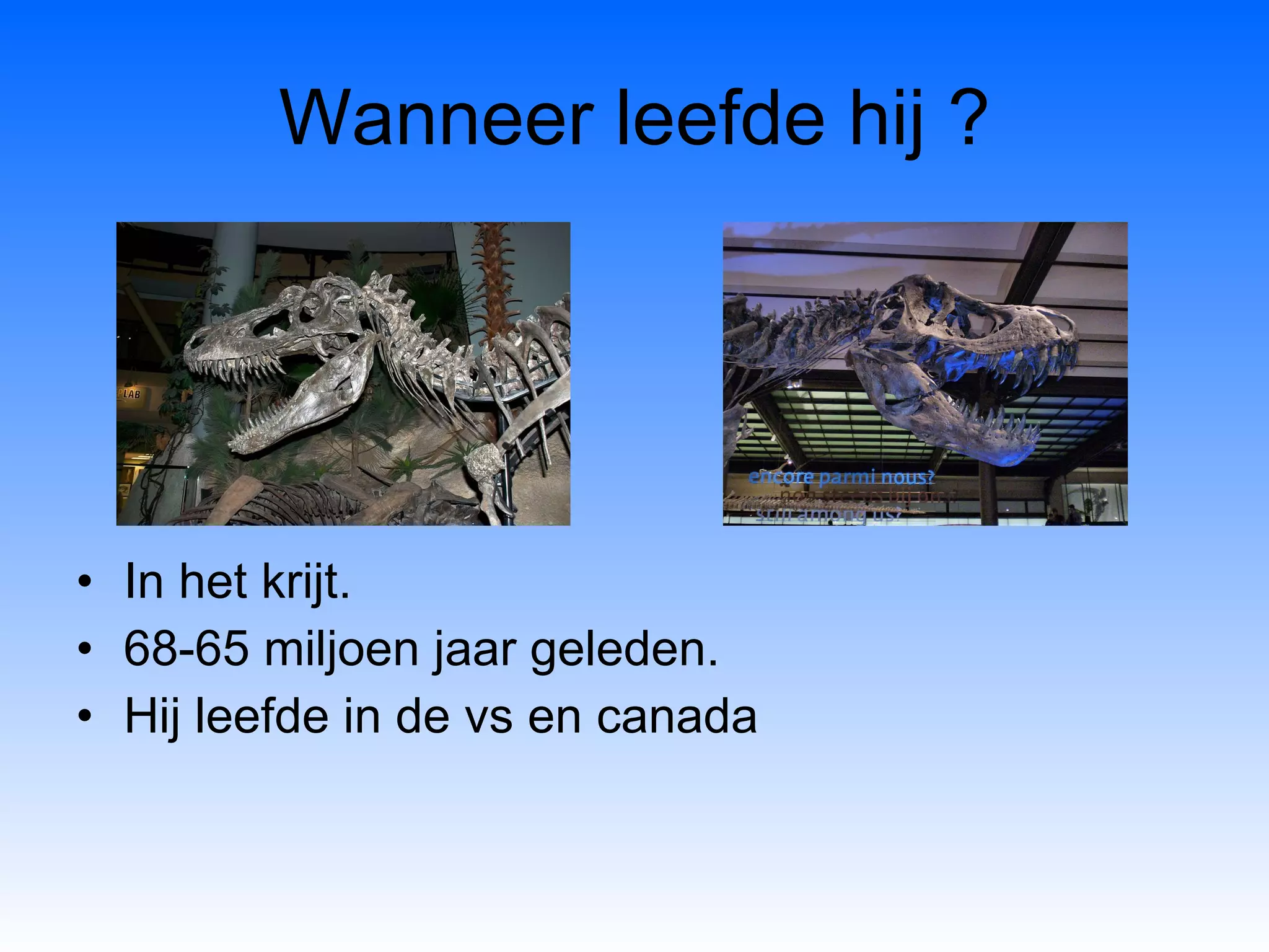 De Tyrannosaurus Rex 01 | PPT | Reptiles | Pets