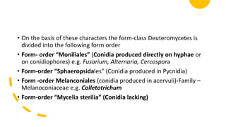 Deuteromycetes general charcters and life cycle | PDF