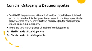 Deuteromycetes general charcters and life cycle | PDF