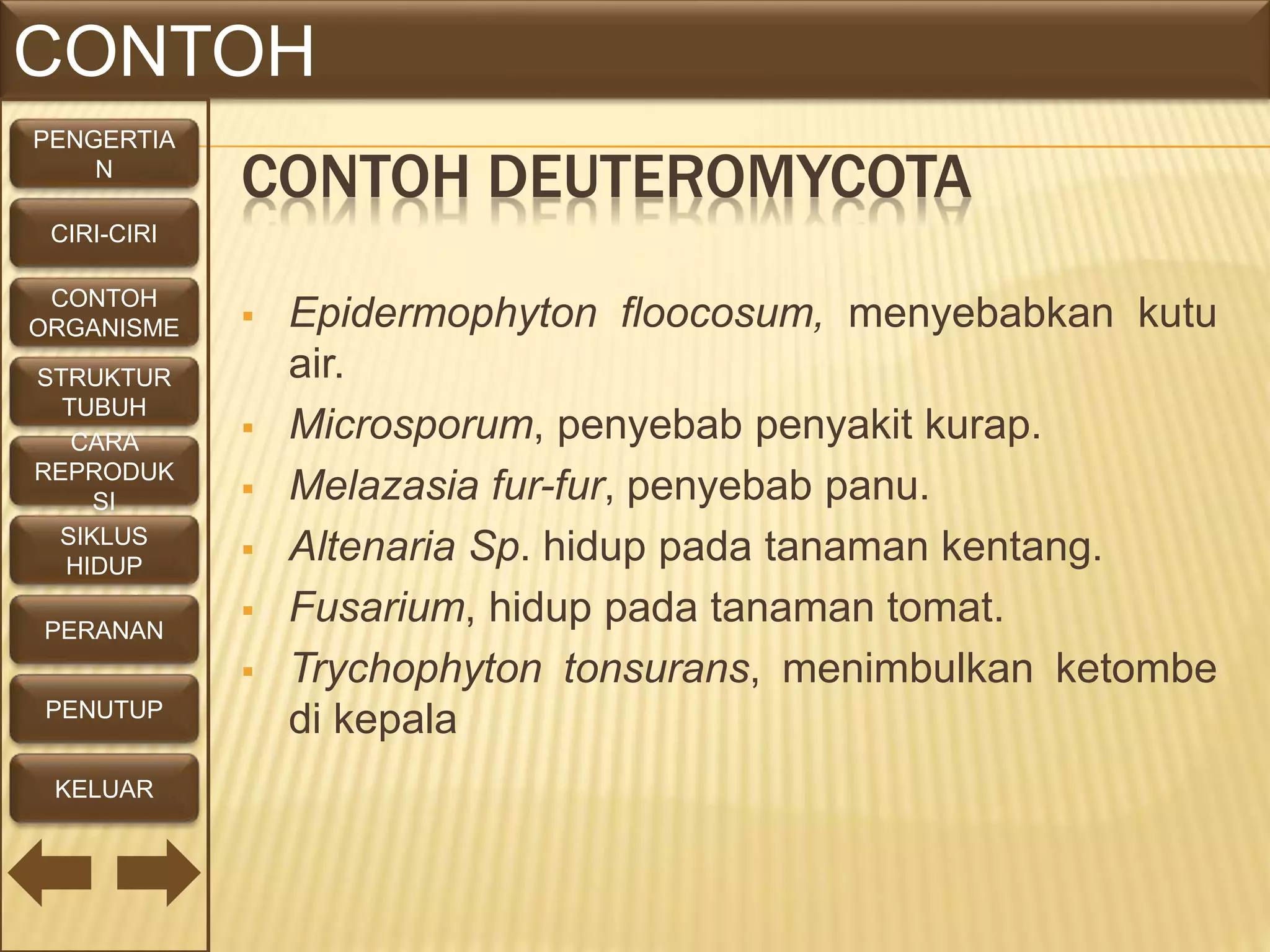 Deuteromycota | PPTX