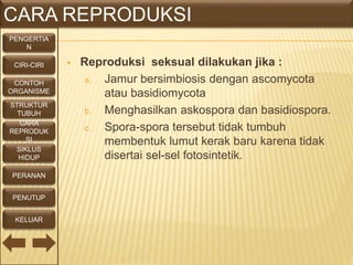 Deuteromycota | PPTX