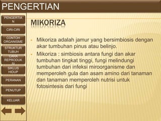 Deuteromycota | PPTX