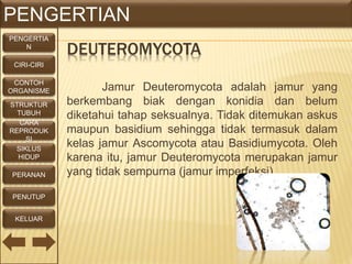 Deuteromycota | PPTX