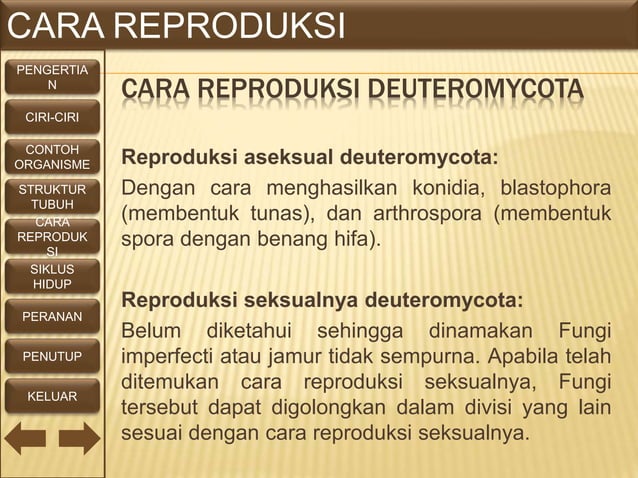 Deuteromycota | PPTX