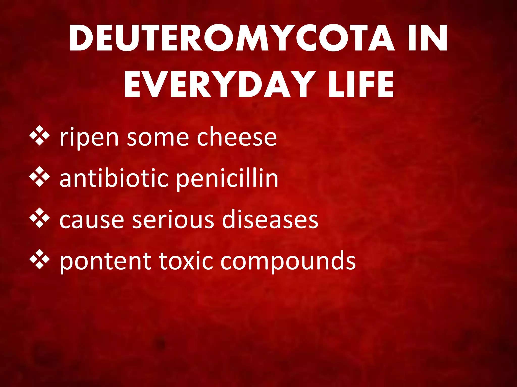 Deuteromycota | PPTX