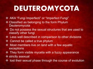 Deuteromycota | PPTX