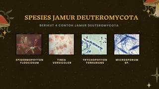 deuteromycota kelompok 3.pdf