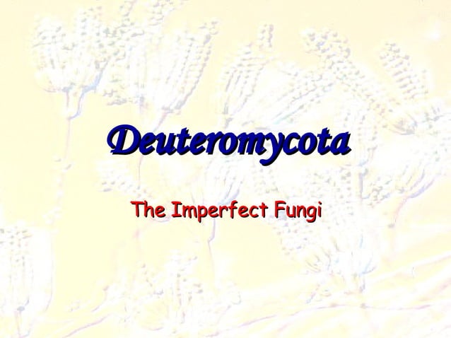 Deuteromycota | PPT