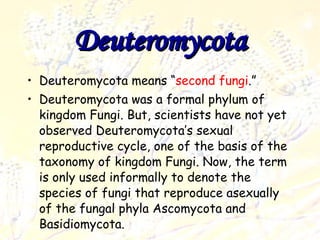 Deuteromycota | PPT