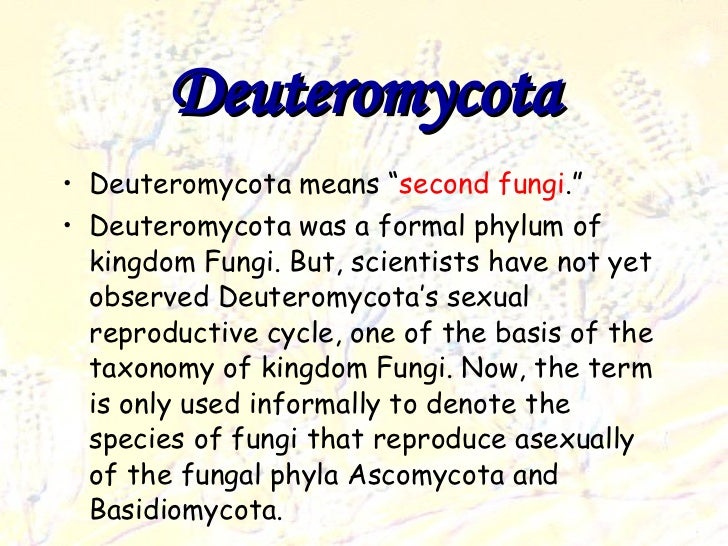 Phylum Deuteromycota Examples