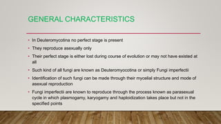 Deuteromycotina | PPTX