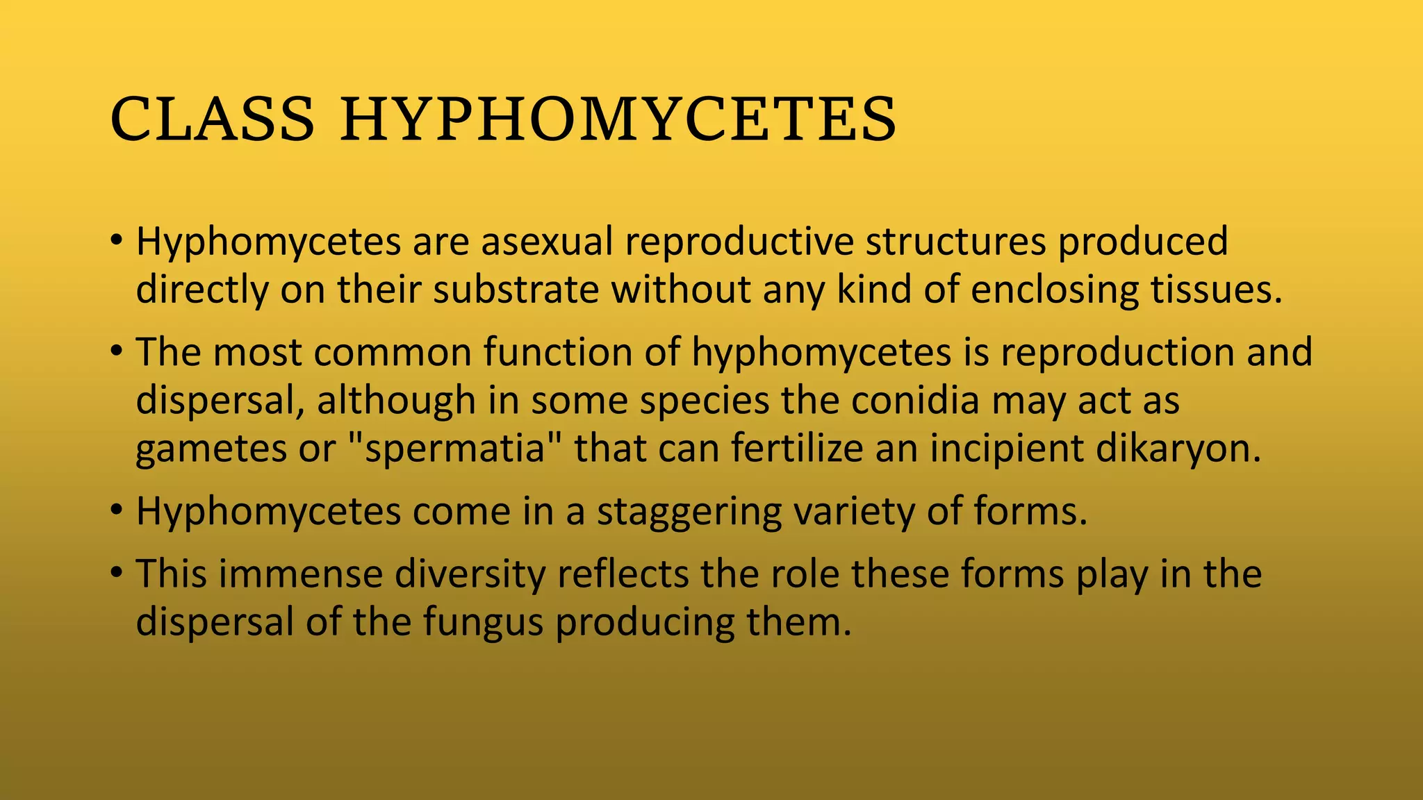 Deuteromycotina | PPTX