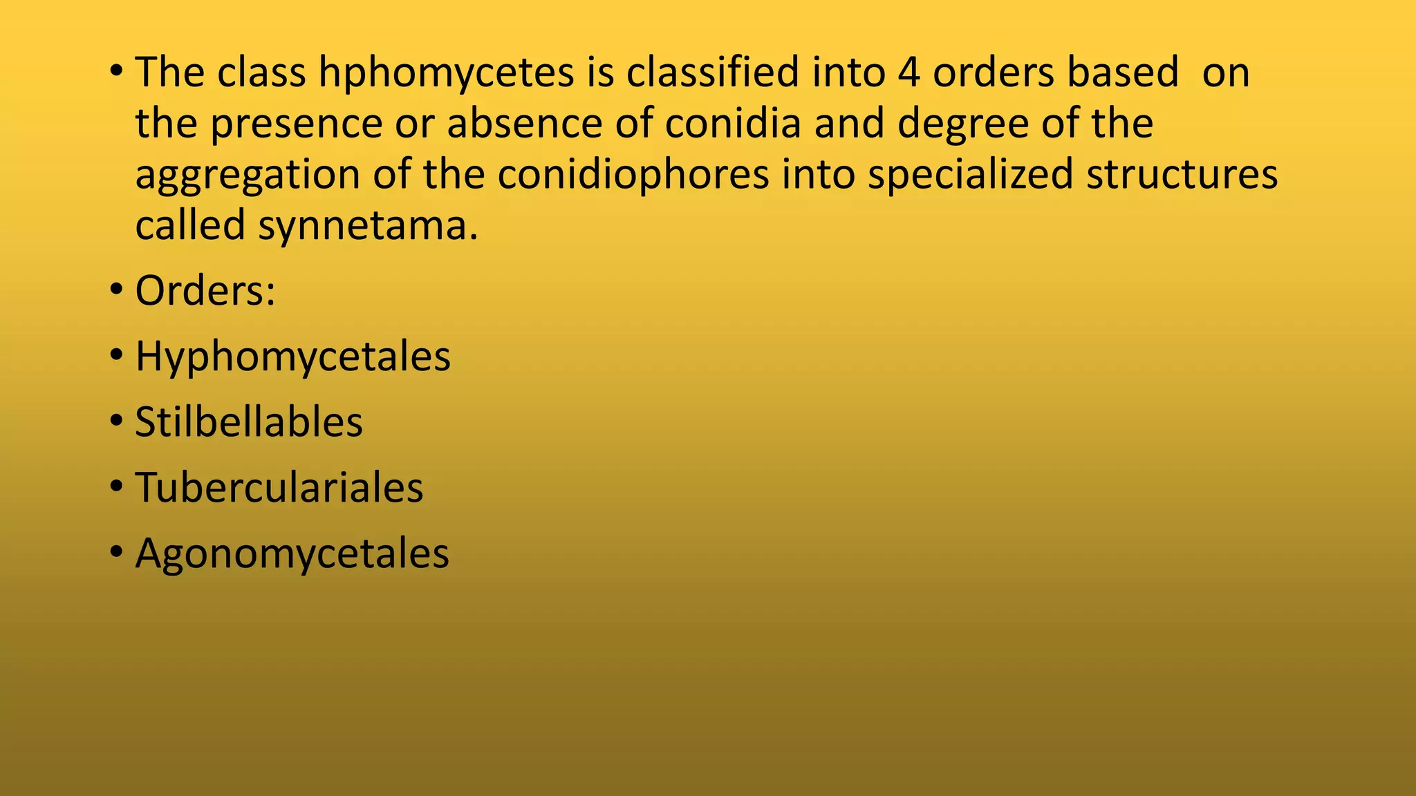Deuteromycotina | PPTX