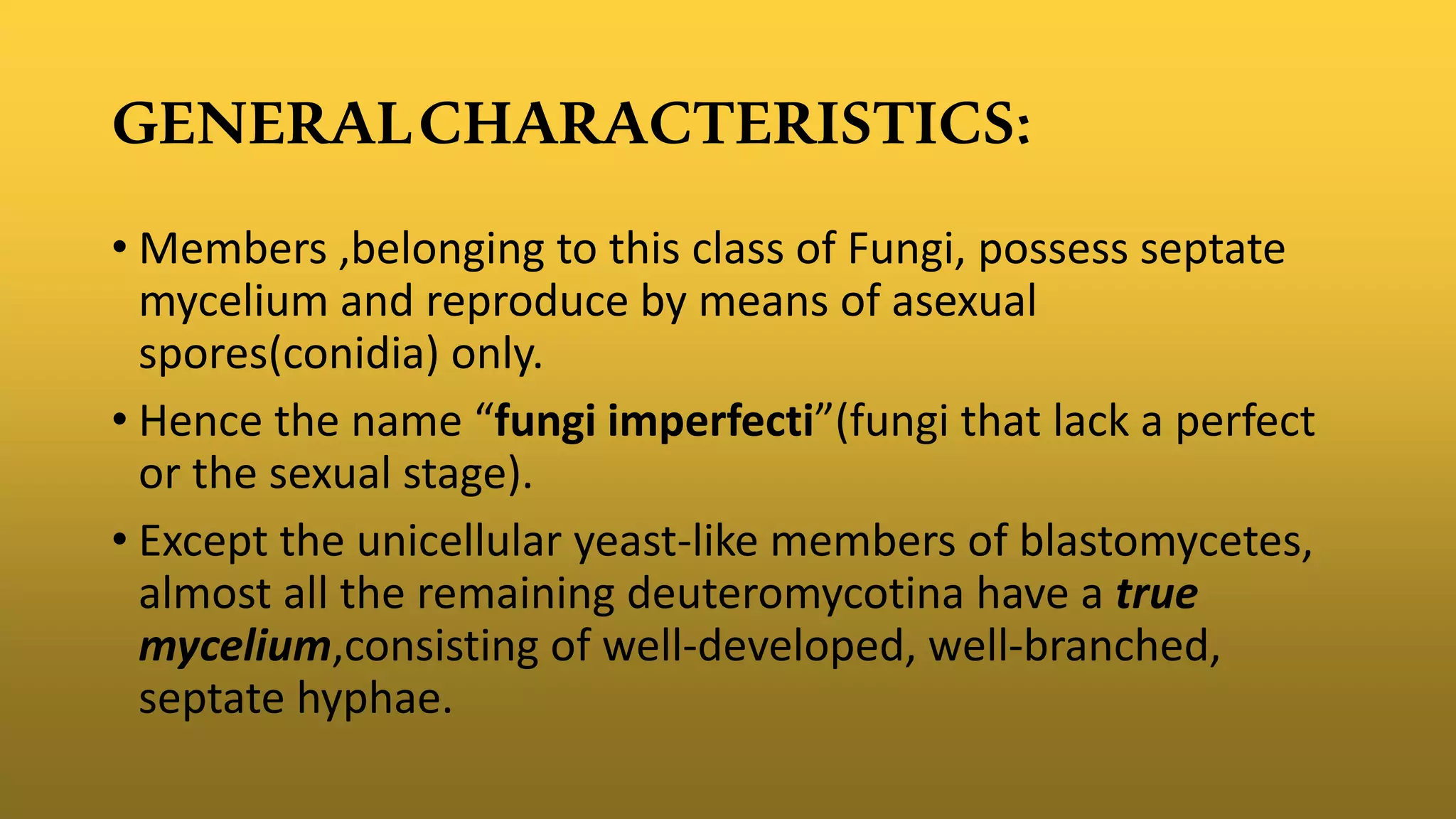 Deuteromycotina | PPTX