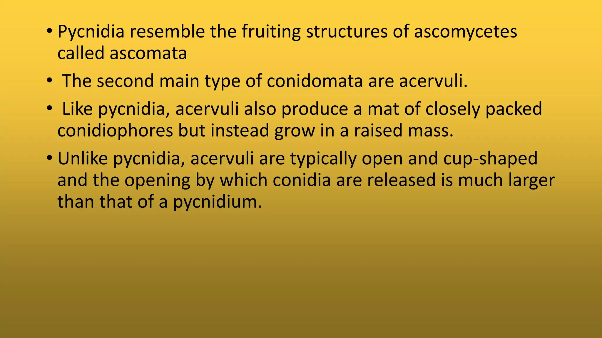 Deuteromycotina | PPTX