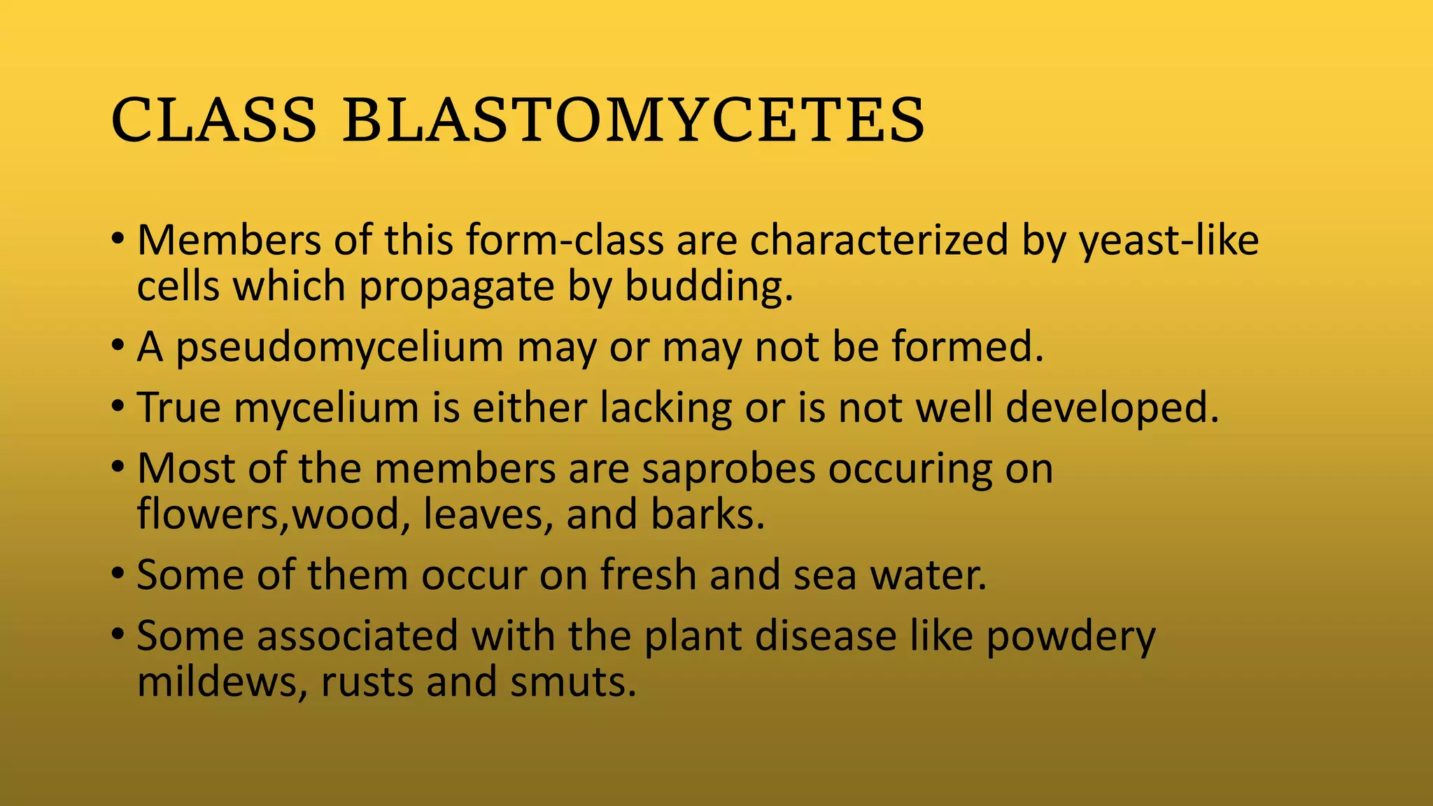 Deuteromycotina | PPTX