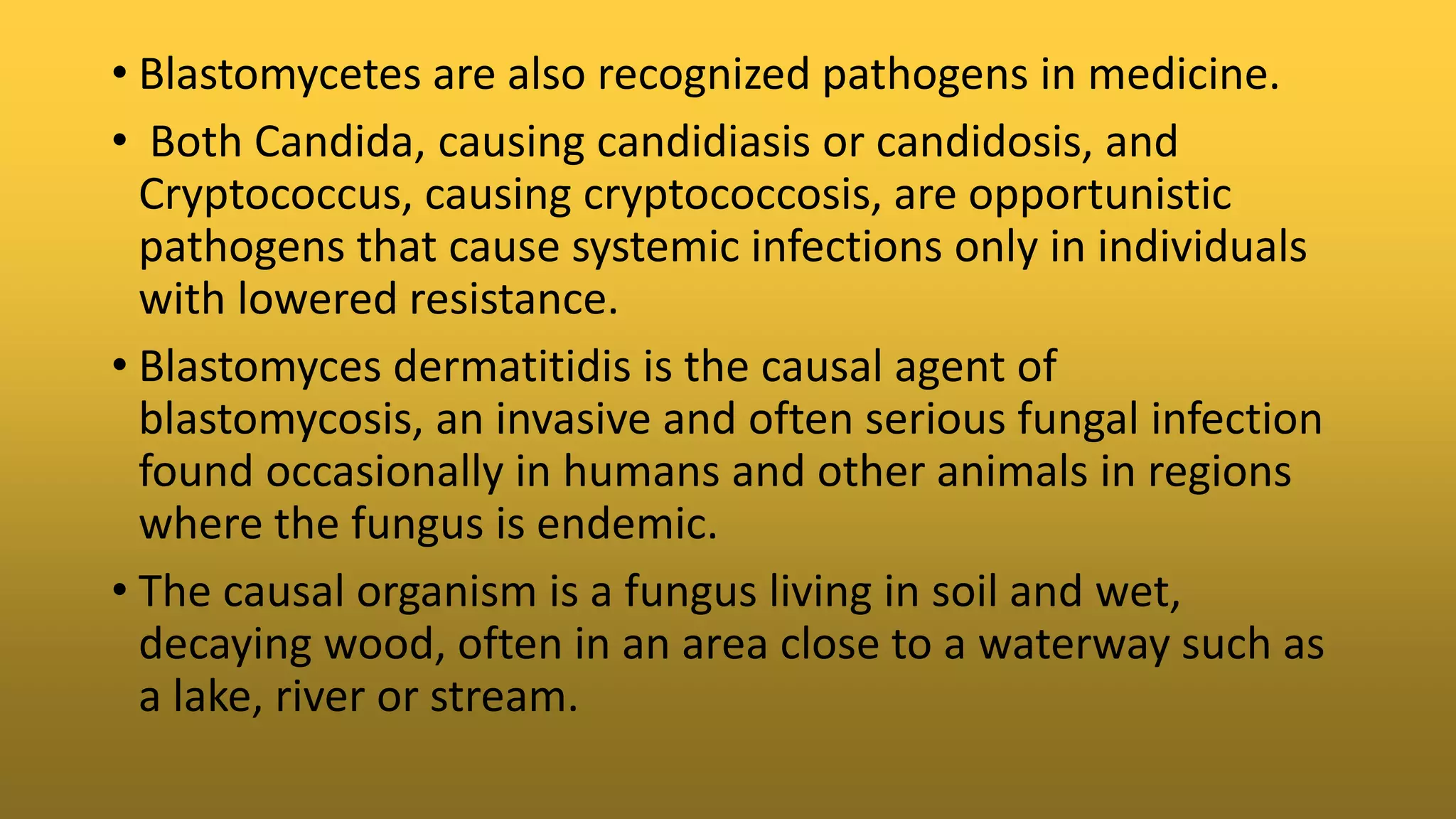 Deuteromycotina | PPTX