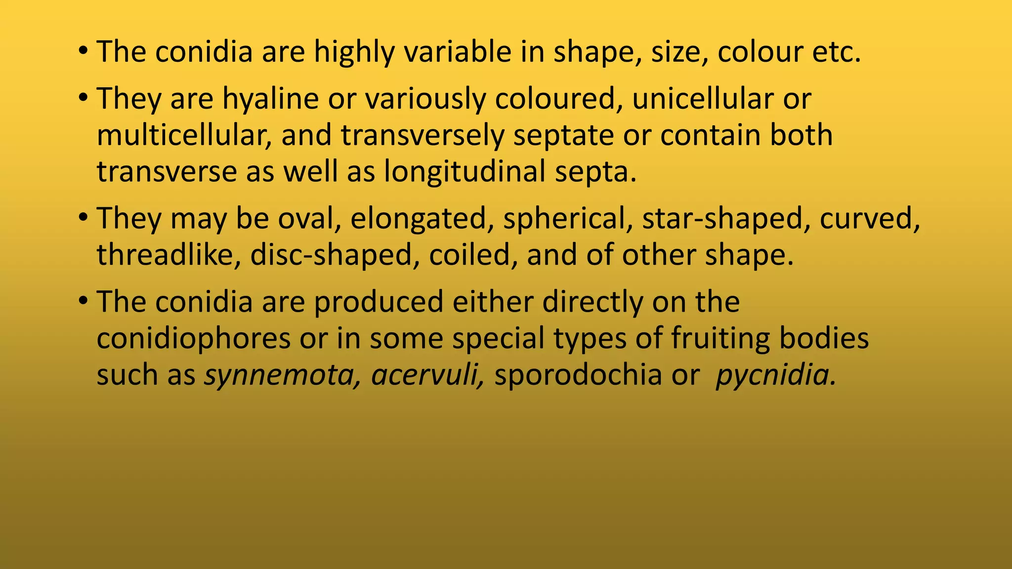 Deuteromycotina | PPTX