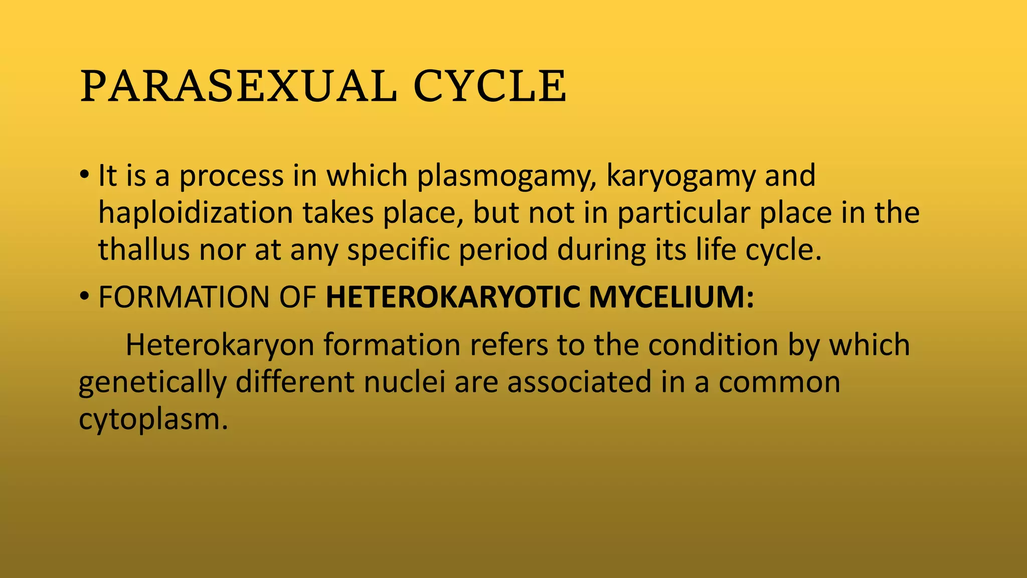 Deuteromycotina | PPTX