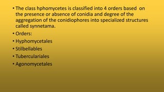 Deuteromycotina | PPTX