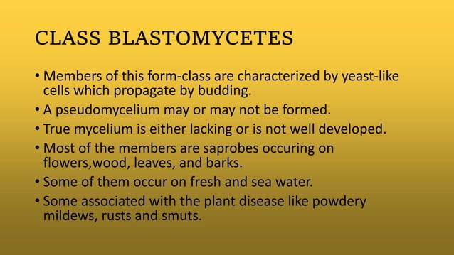Deuteromycotina | PPTX