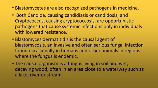 Deuteromycotina | PPTX