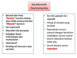 PPT Deutromycota | PPT