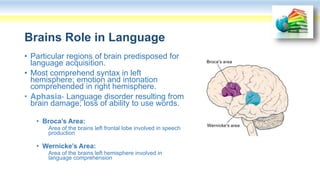 Language Development | PPTX
