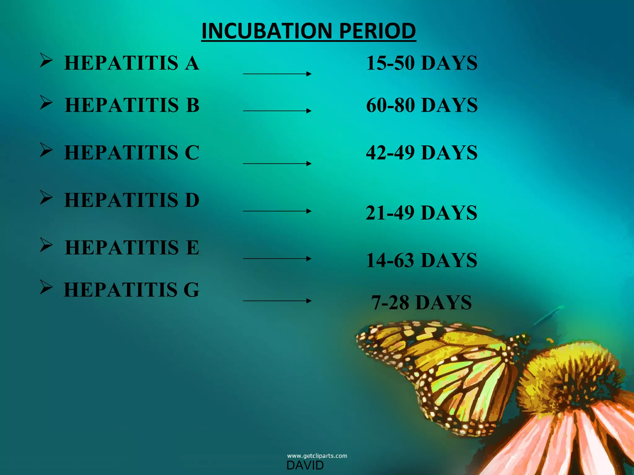 Hepatitis | PPT