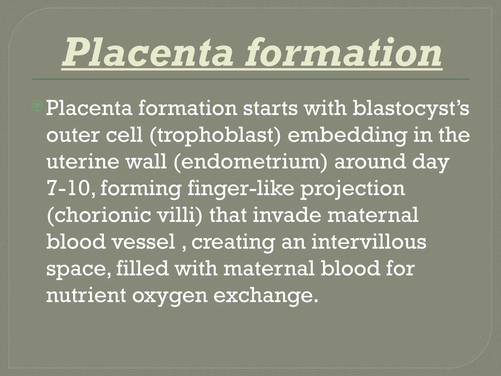 placenta formation in modern anatomy | PPTX