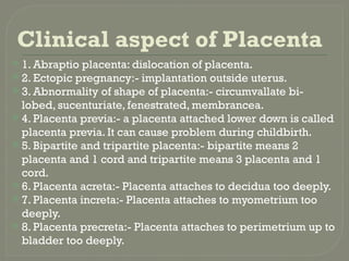 placenta formation in modern anatomy | PPTX