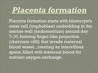 placenta formation in modern anatomy | PPTX