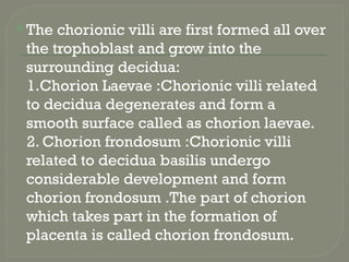placenta formation in modern anatomy | PPTX
