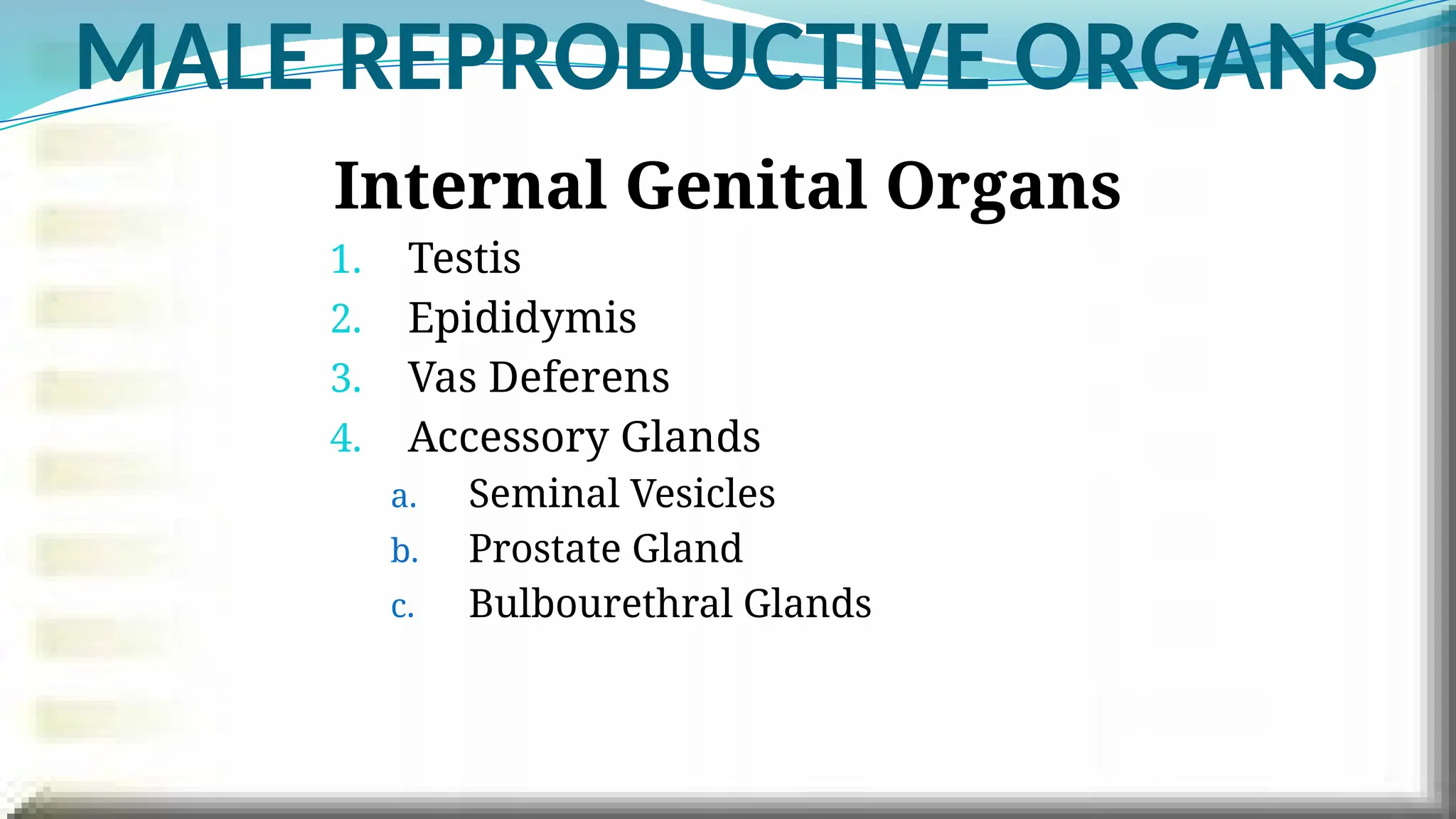 Topic male reproductive system of bams.pptx