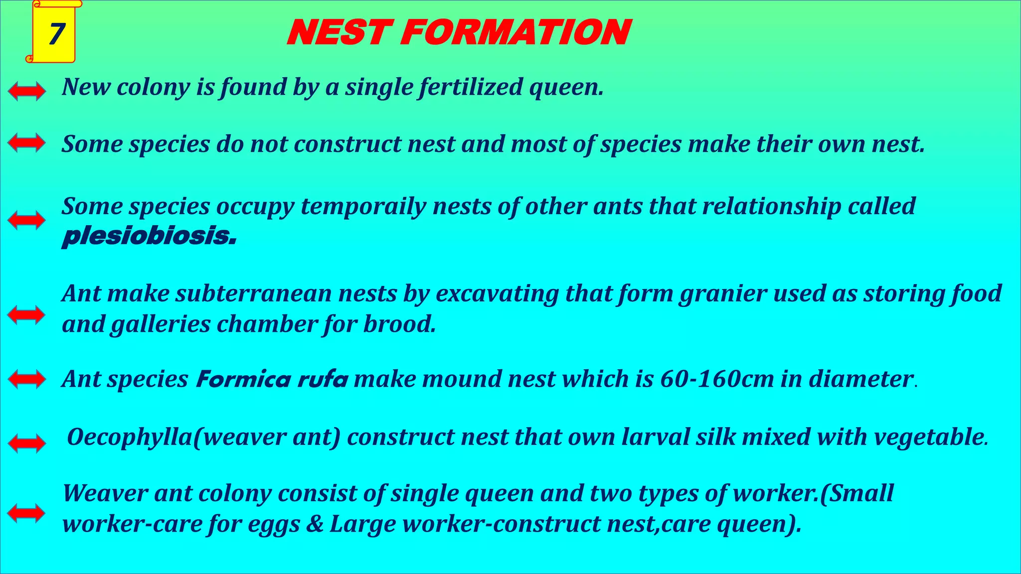 Social Behaviour of Ant | PPTX