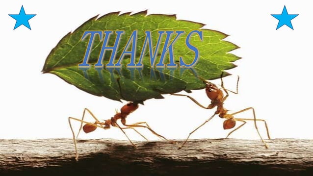 Social Behaviour of Ant | PPTX