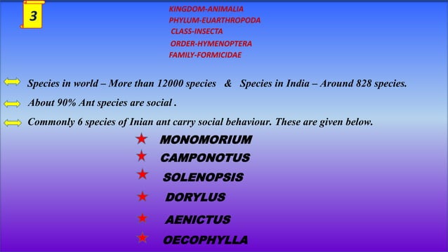 Social Behaviour of Ant | PPTX