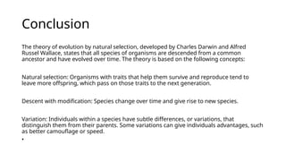 DARVIN THEORY OF EVOLUTION,DARVINISM.pptx