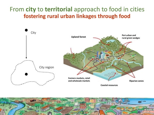 Strengthening Rural-Urban Linkages in Africa to achieve food security | PPT