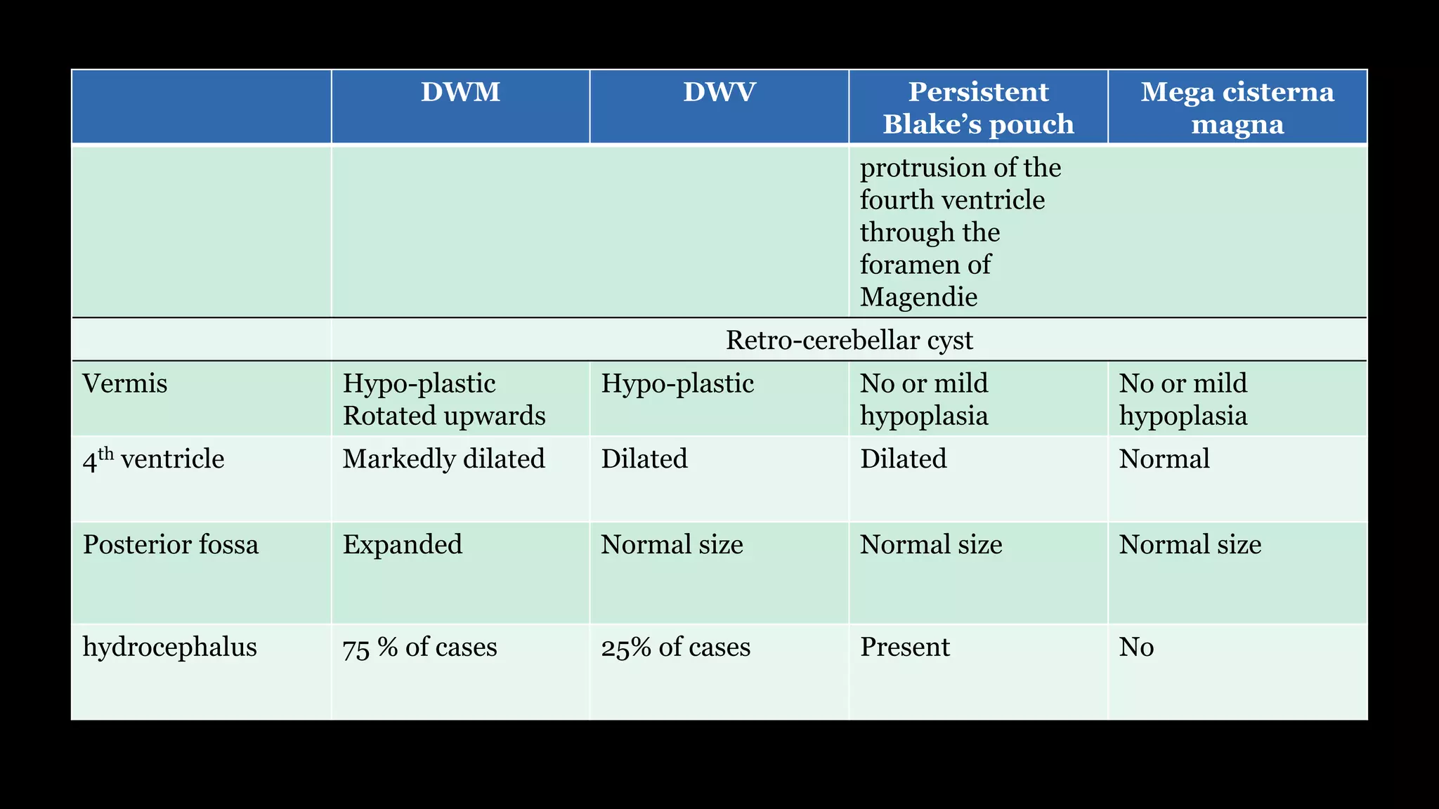 congenital brain anomalies | PPTX