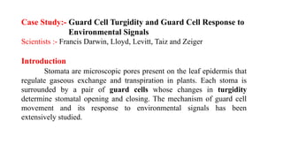 Guard cell and their importance and functions | PPTX