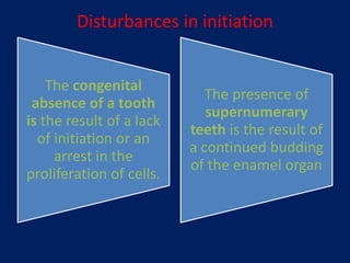 Develoment of Dentition | PPT