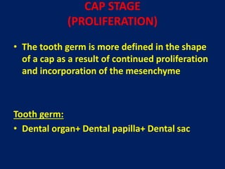Develoment of Dentition | PPT