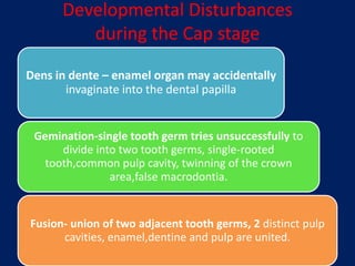 Develoment of Dentition | PPT