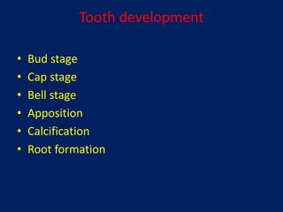 Develoment of Dentition | PPT