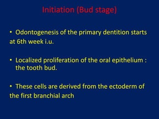 Develoment of Dentition | PPT