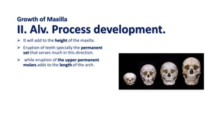 Development & Growth of Maxilla | PPTX